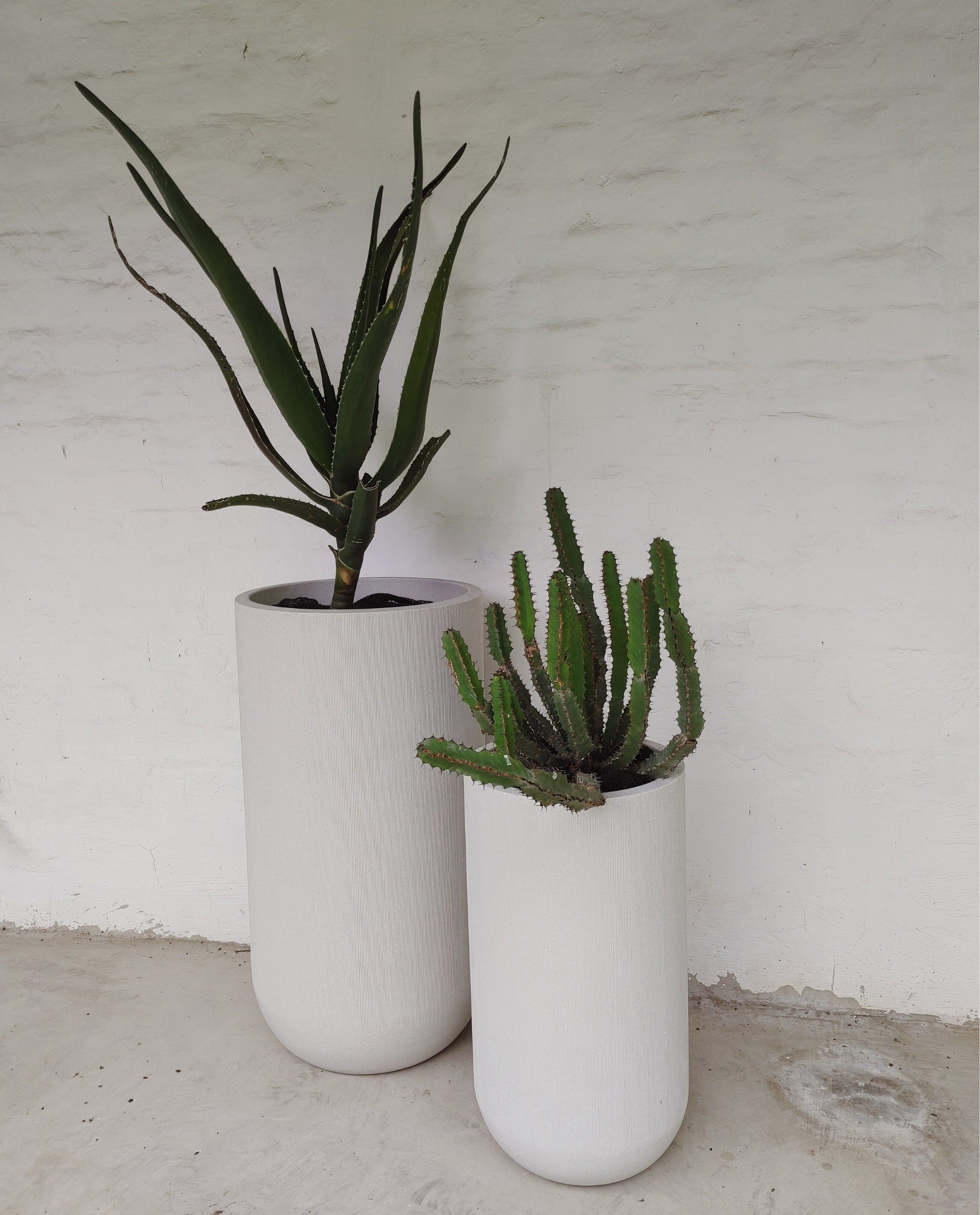 Fringe Tall Japi Planter