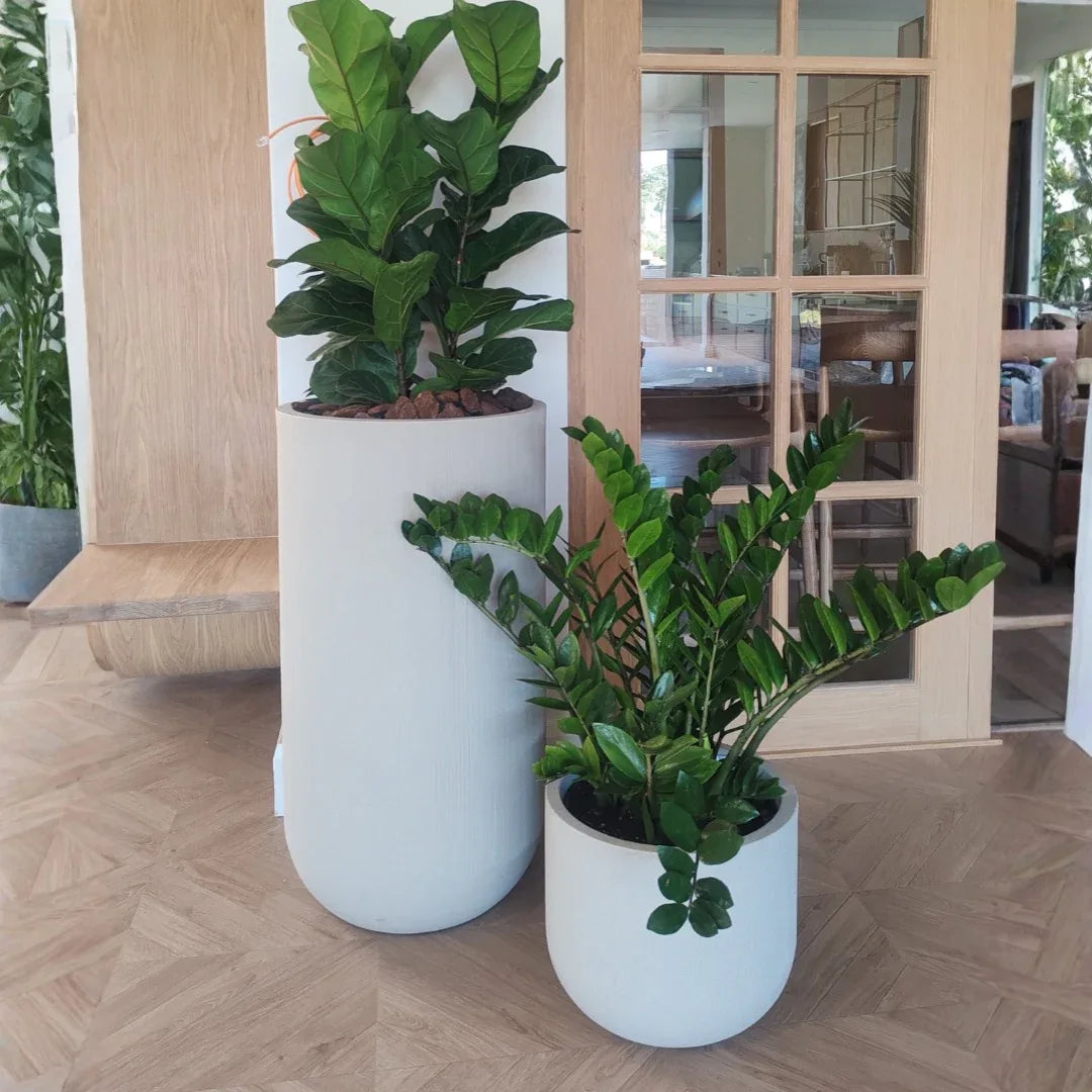 Fringe Tall Japi Planter – Florastyle By Hingham
