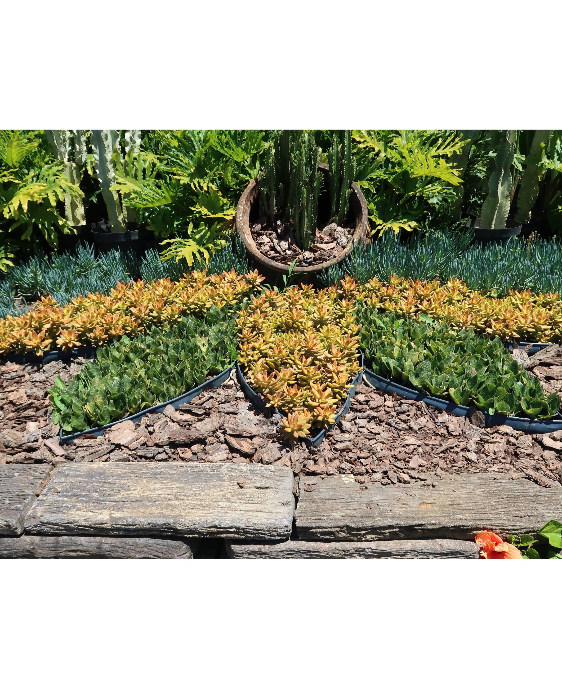JAPI LANDSCAPE EDGING WITH EDGE - plastic garden edging 20m